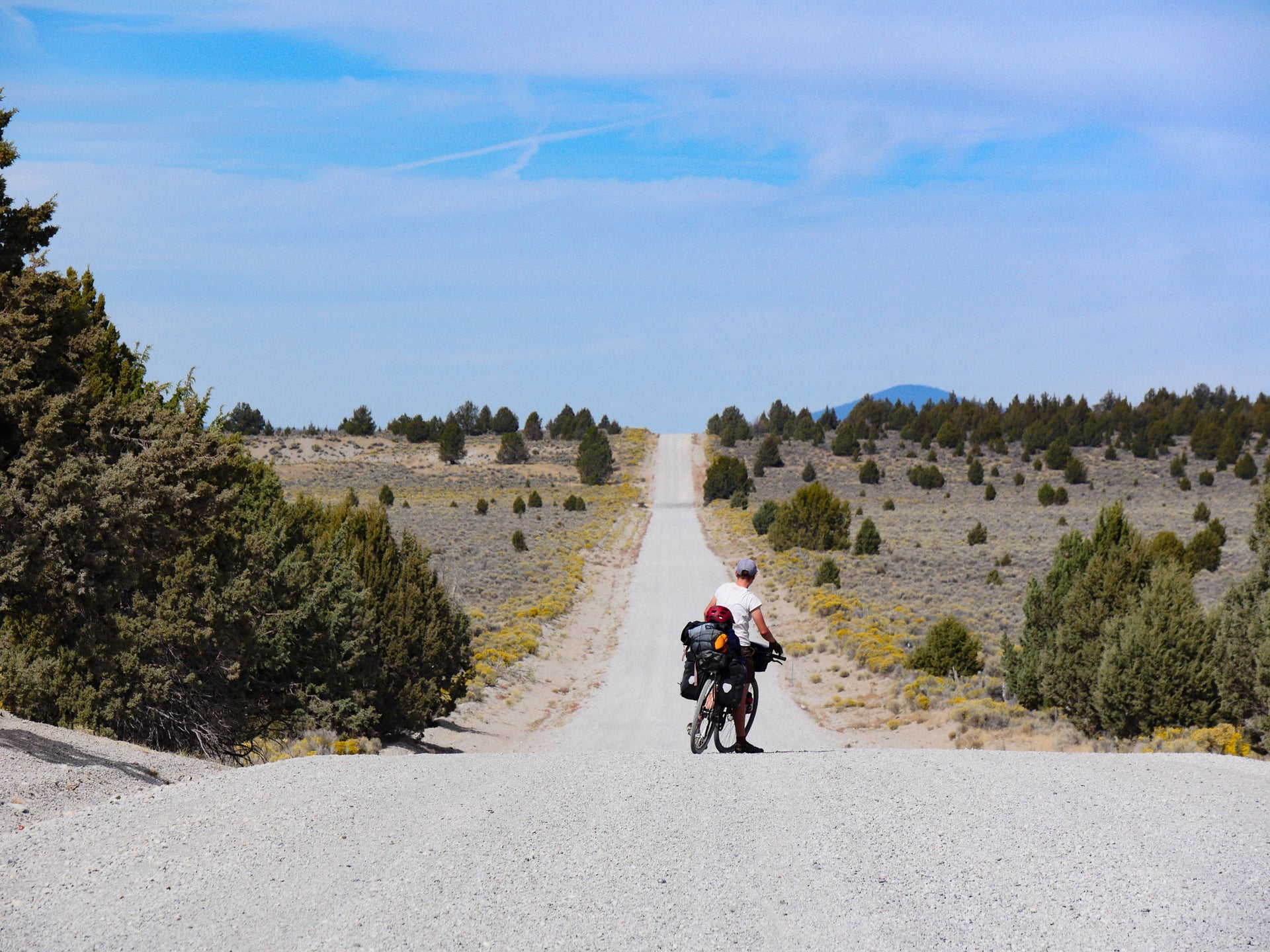 Belt Drivetrain Components For Bicycles | OEM & Dealer – VEER